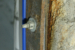 BluSeal Injection Hose Kit - Bluey Technologies